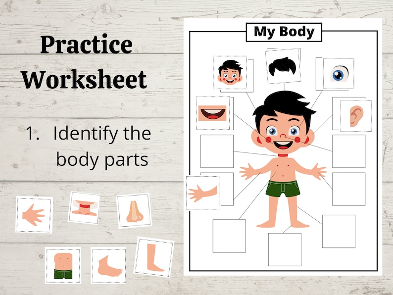Body Parts Printable Activity for Kids, Human Body Printable Matching ...
