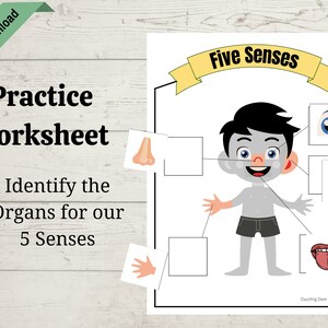 Five Senses Sorting Activity & Matching Game, 5 Senses Busy Book ...