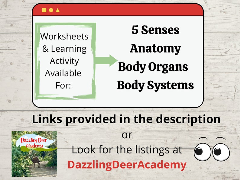 Five Senses Sorting Activity & Matching Game, 5 Senses Busy Book ...