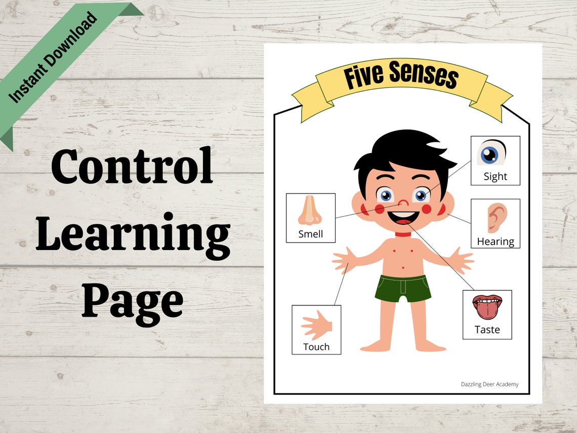 Five Senses Sorting Activity & Matching Game, 5 Senses Busy Book ...