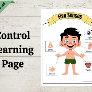 Five Senses Sorting Activity & Matching Game, 5 Senses Busy Book ...