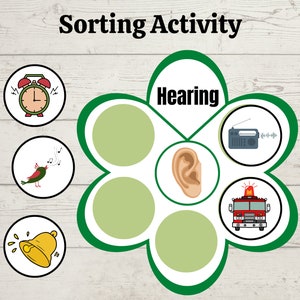 Five Senses Sorting Activity & Matching Game, 5 Senses Busy Book ...