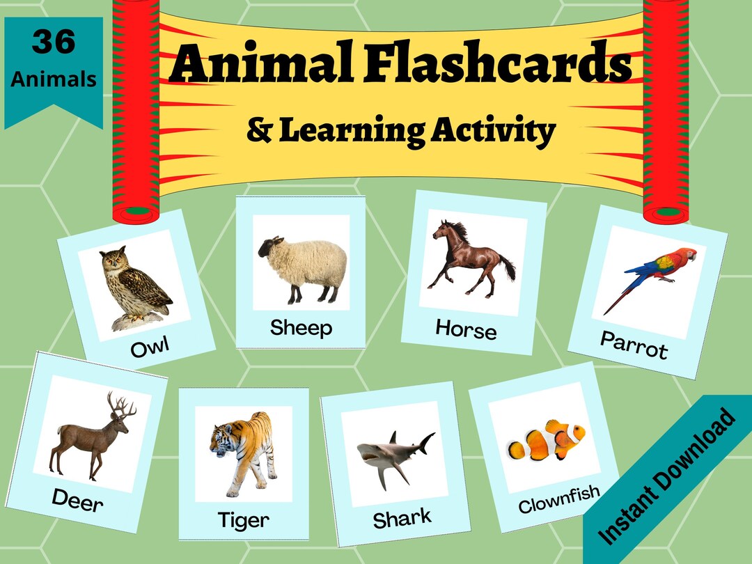 36 Animal Flashcards & Learning Activity for Kids; Wild Farm Aquatic ...