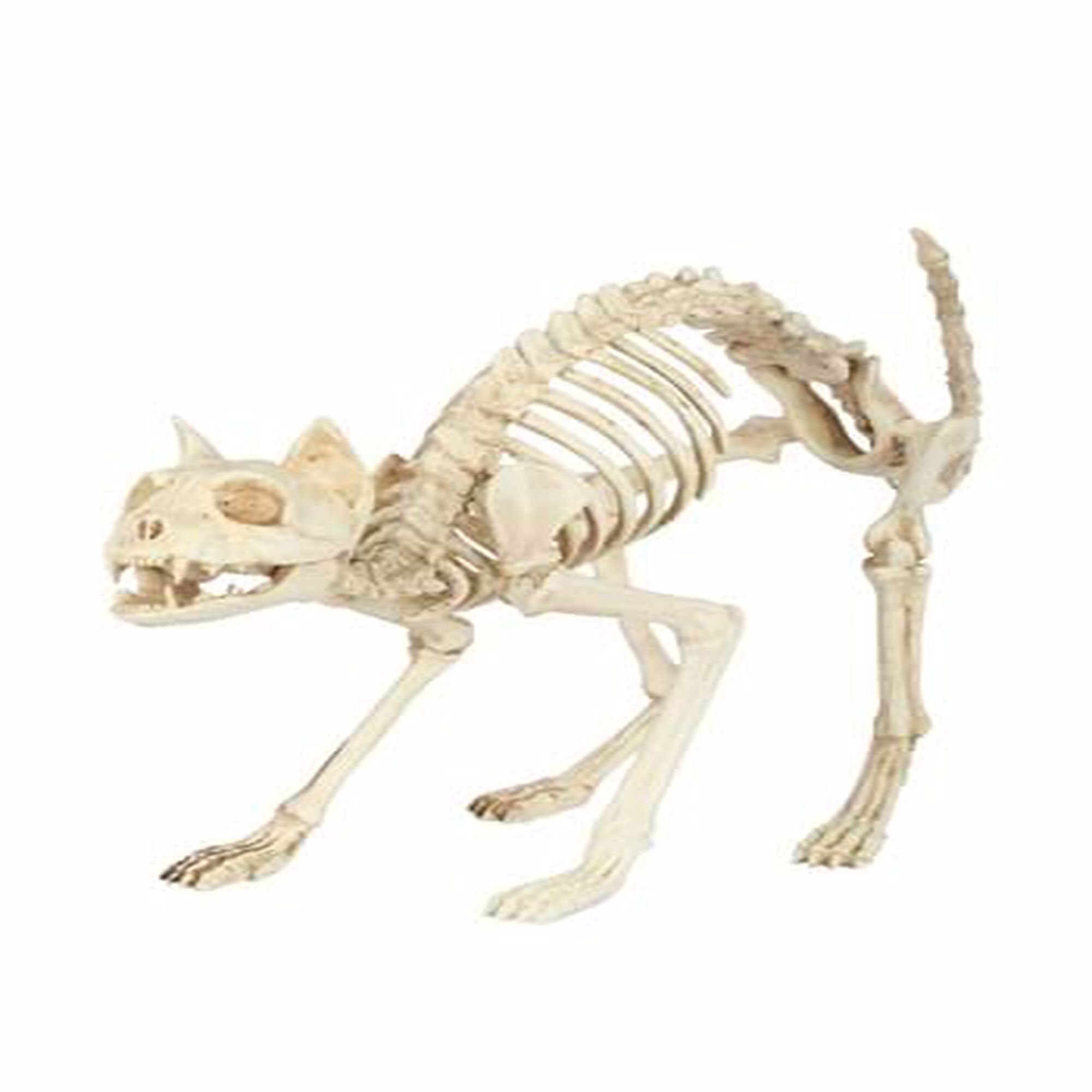 Skeleton Cat Halloween Decoration Halloween Figure Cat Gift - Etsy