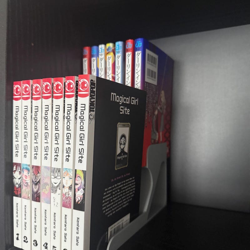 Manga Organizer Shelf - Etsy