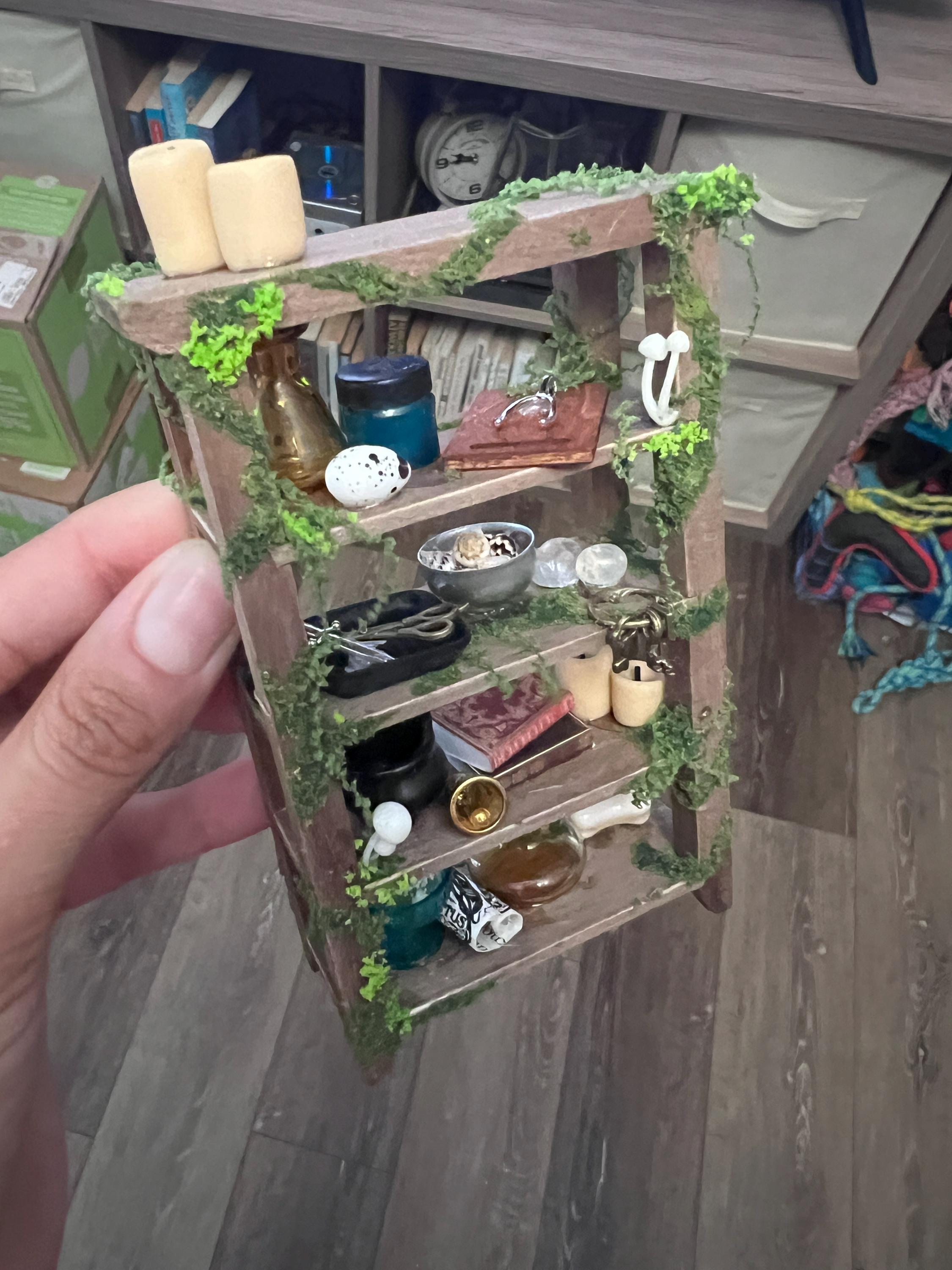Dollhouse Miniature Apothecary Bookshelf - Mini Shelf Witch, Wizard ...