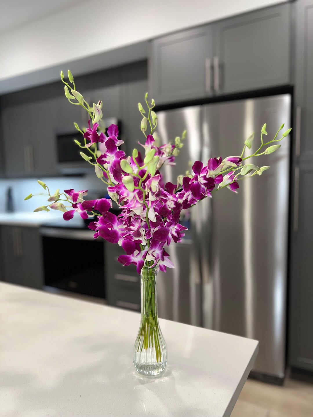 Orchids Dendrobium Cut Purple Orchids 10 Stems With Vase - Etsy
