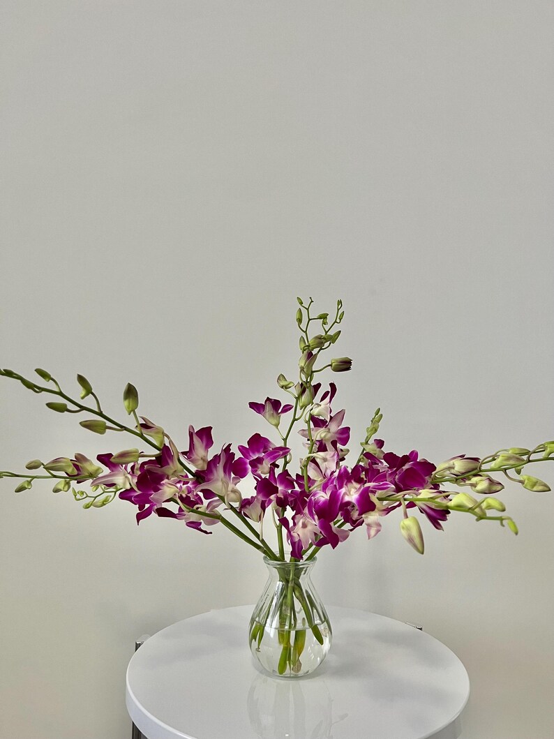 Orchids Dendrobium Cut Purple Orchids (10 Stems With Vase) - Etsy