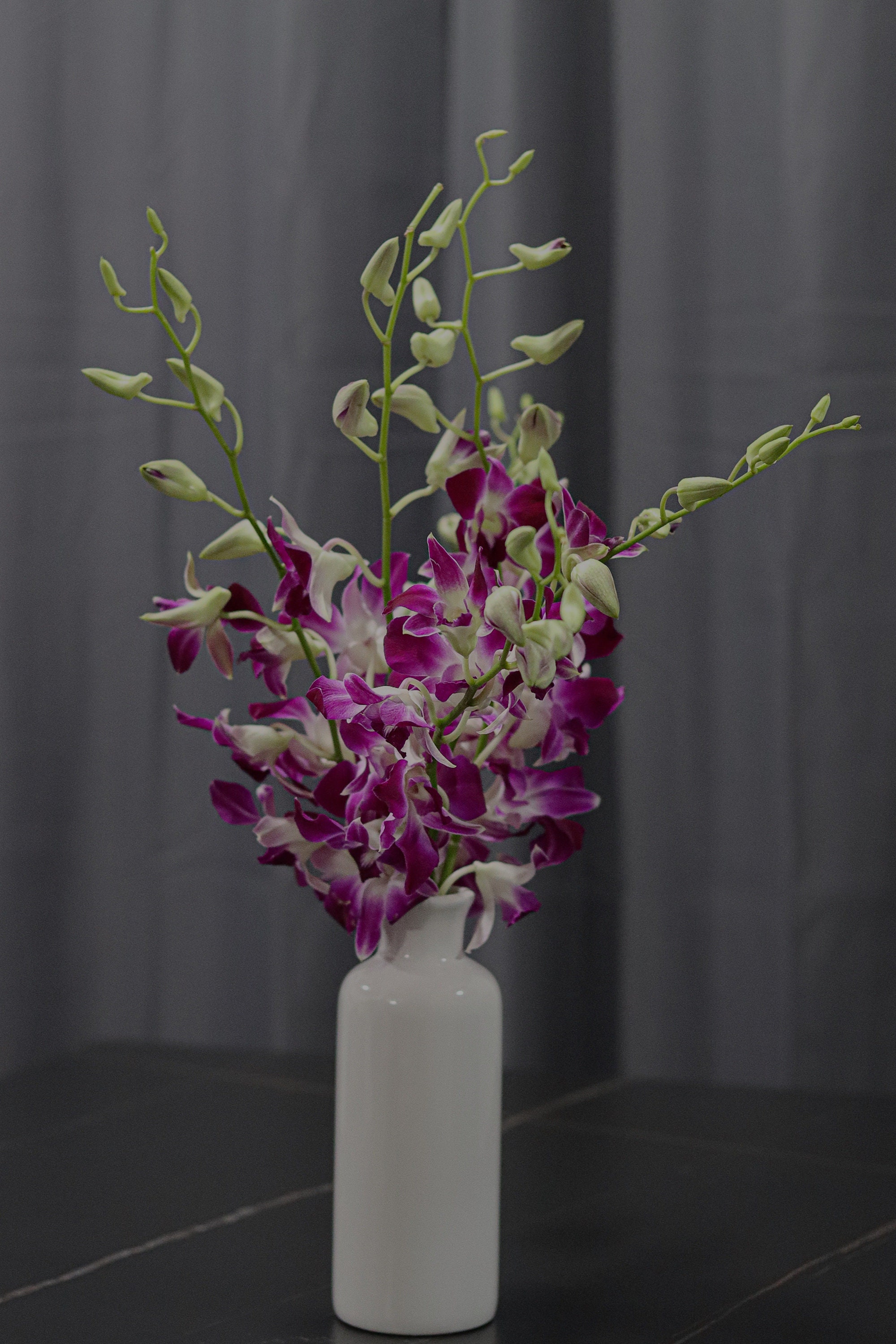 Orchids Dendrobium Cut Purple Orchids 10 Stems With Vase - Etsy