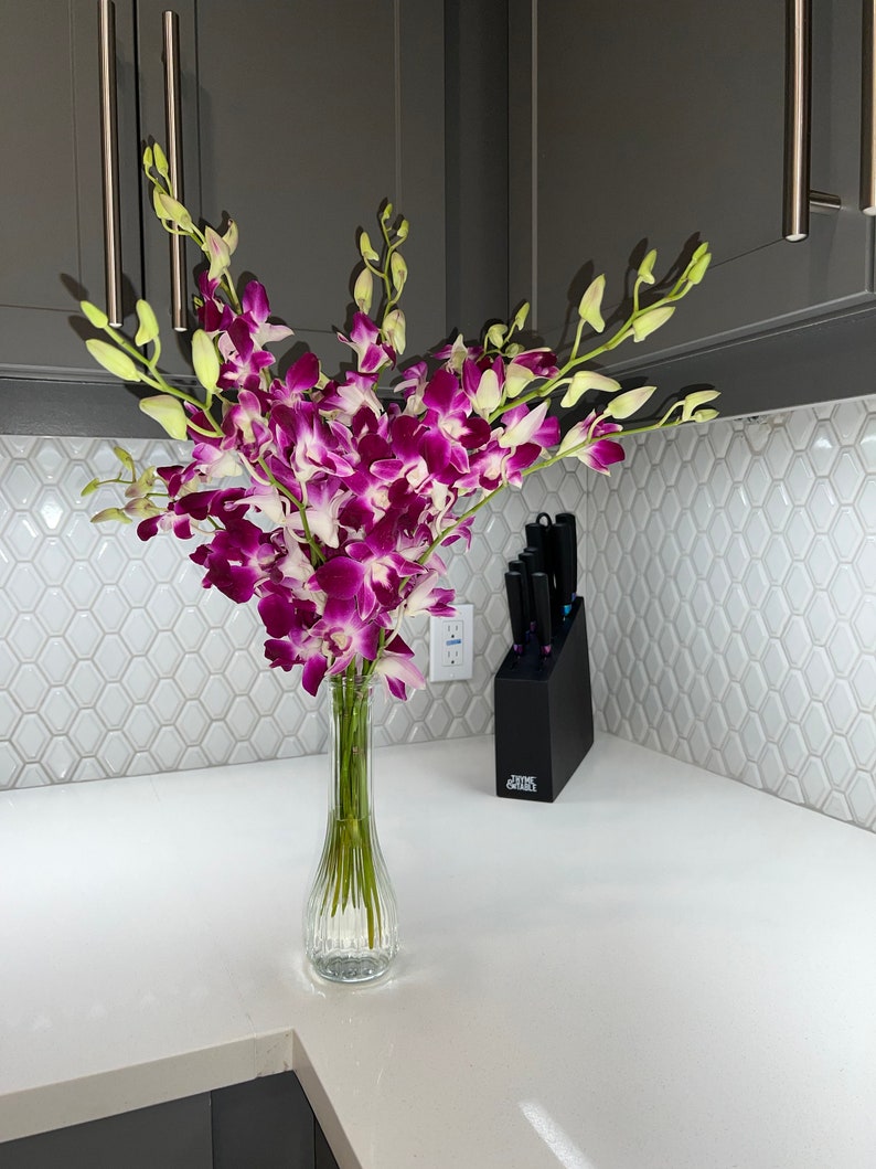 Orchids Dendrobium Cut Purple Orchids 10 Stems With Vase - Etsy