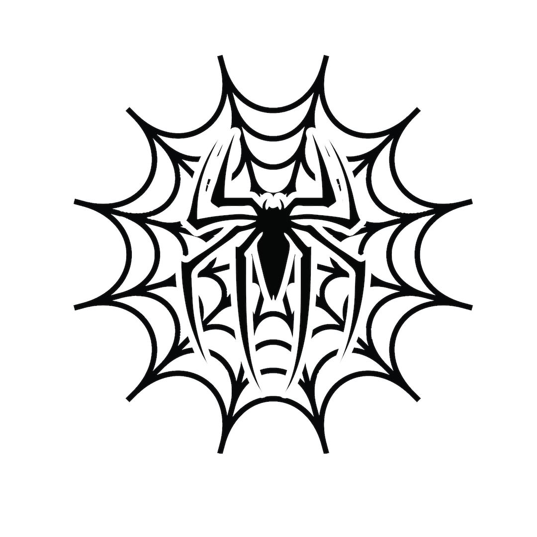Spider and Web Digital File PNG - Etsy
