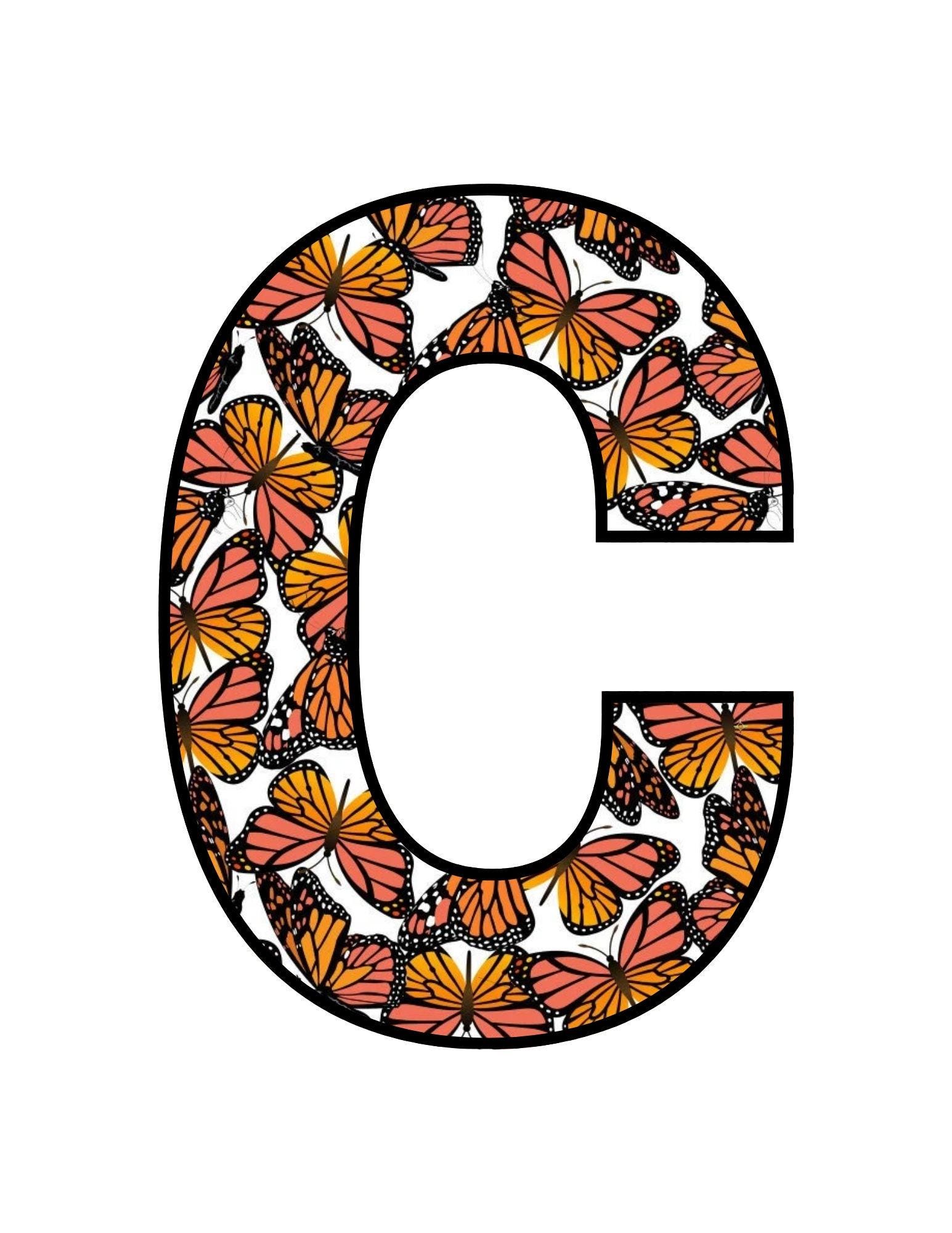 Monarch Butterfly Bulletin Board Decor | Classroom Decorations ...