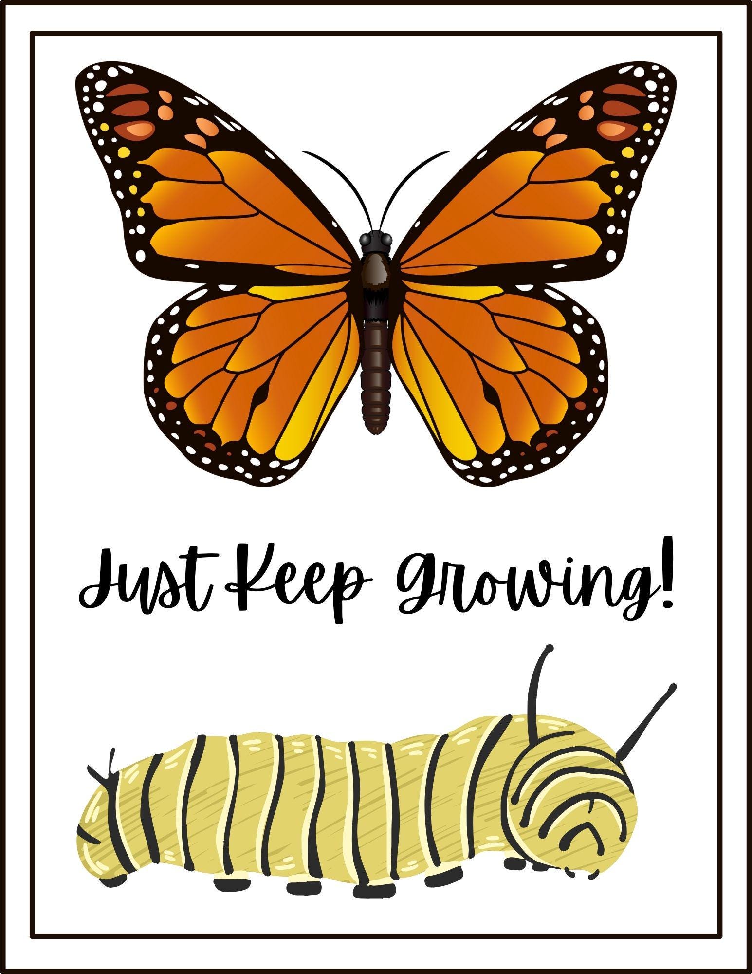 Monarch Butterfly Bulletin Board Decor | Classroom Decorations ...