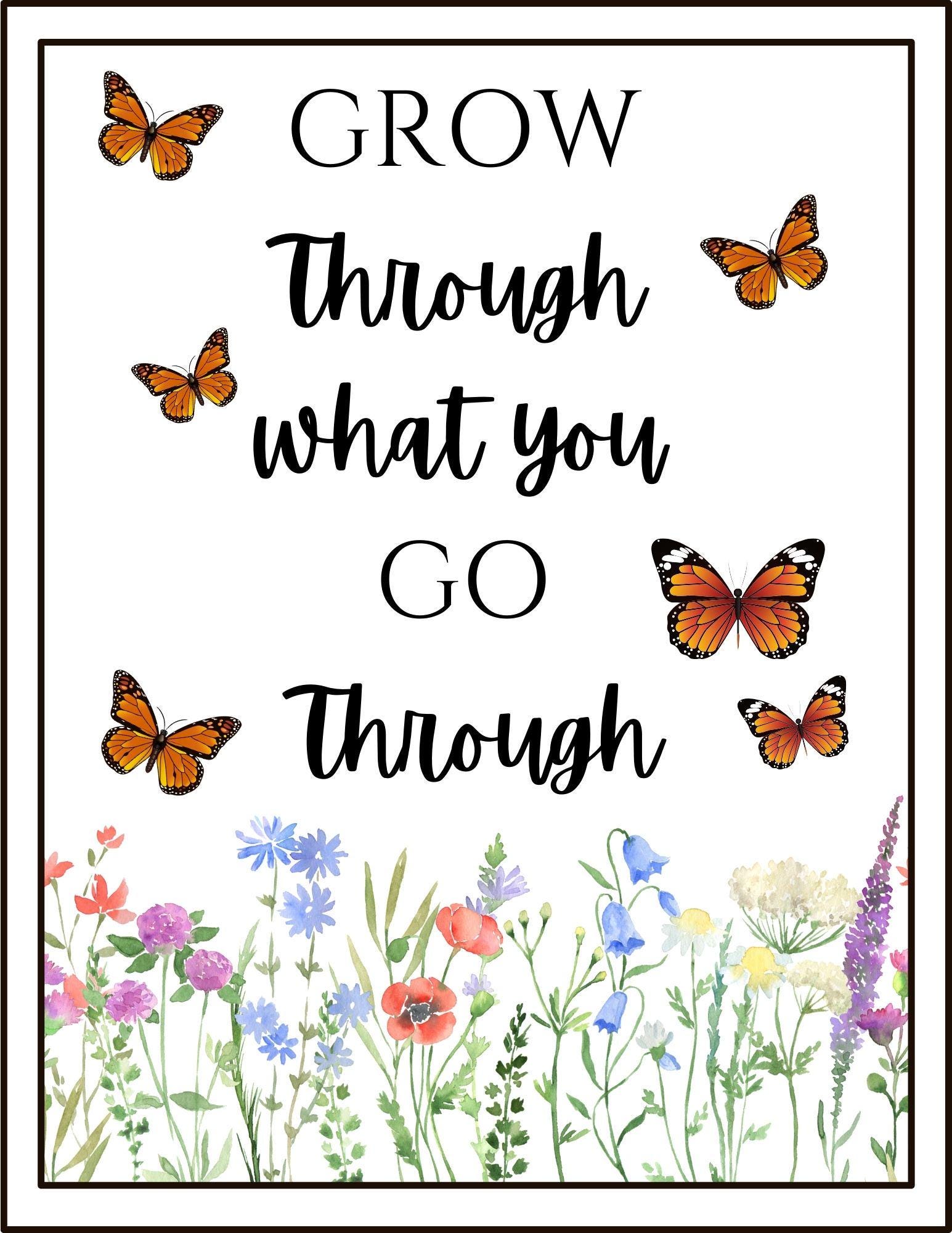 Monarch Butterfly Bulletin Board Decor | Classroom Decorations ...