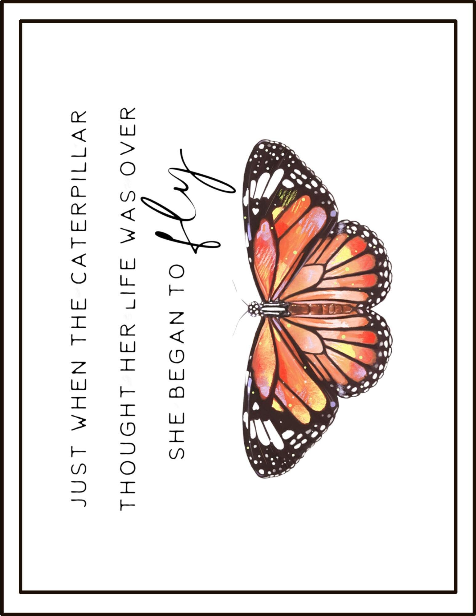 Monarch Butterfly Bulletin Board Decor | Classroom Decorations ...