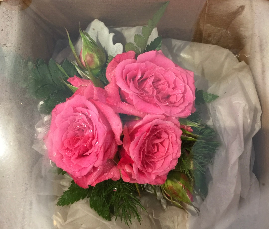 Pretty in Pink Floral Corsage Print Canvas - Etsy
