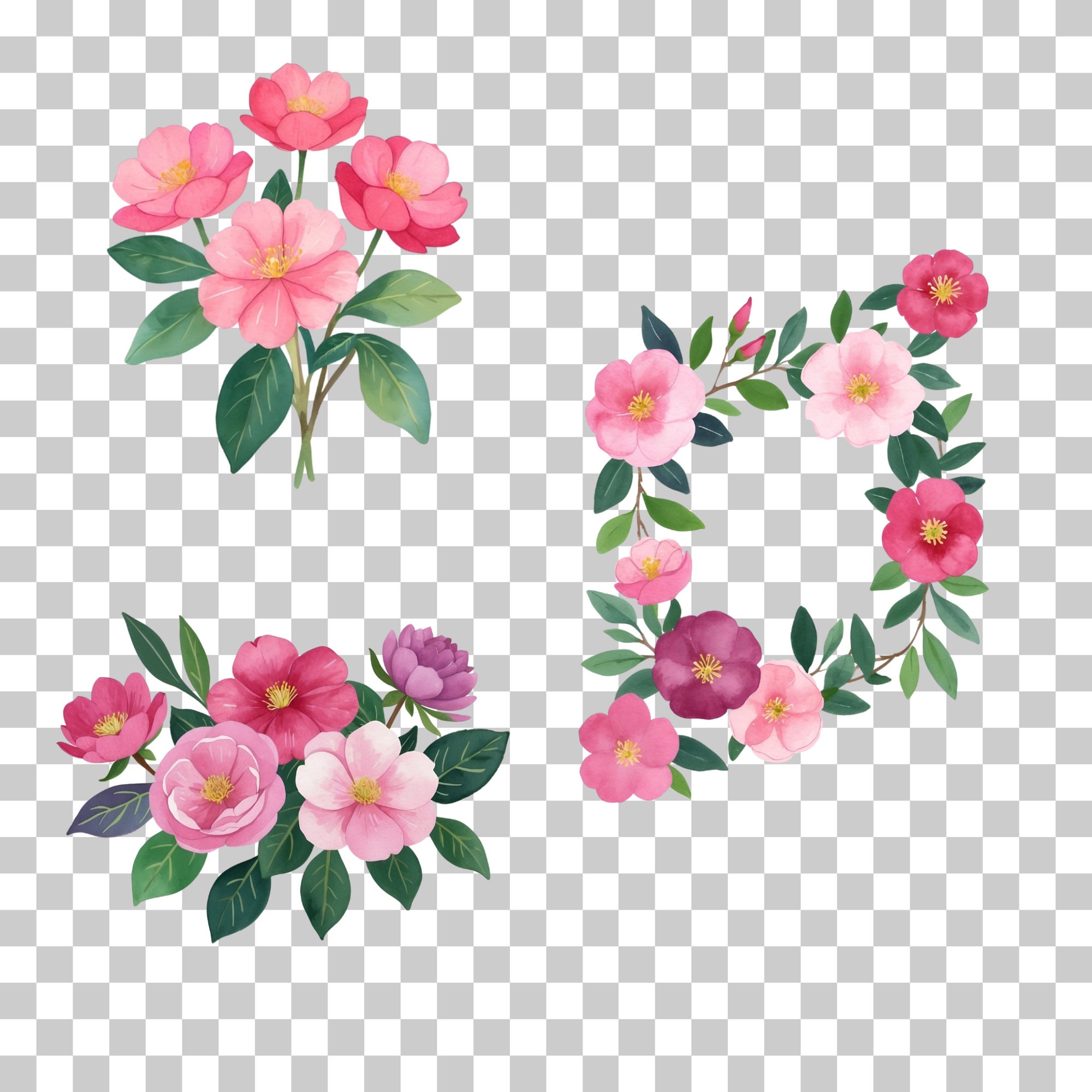 100 Watercolor Pink Camellias PNG, Floral Camellia, Flowers Clipart ...