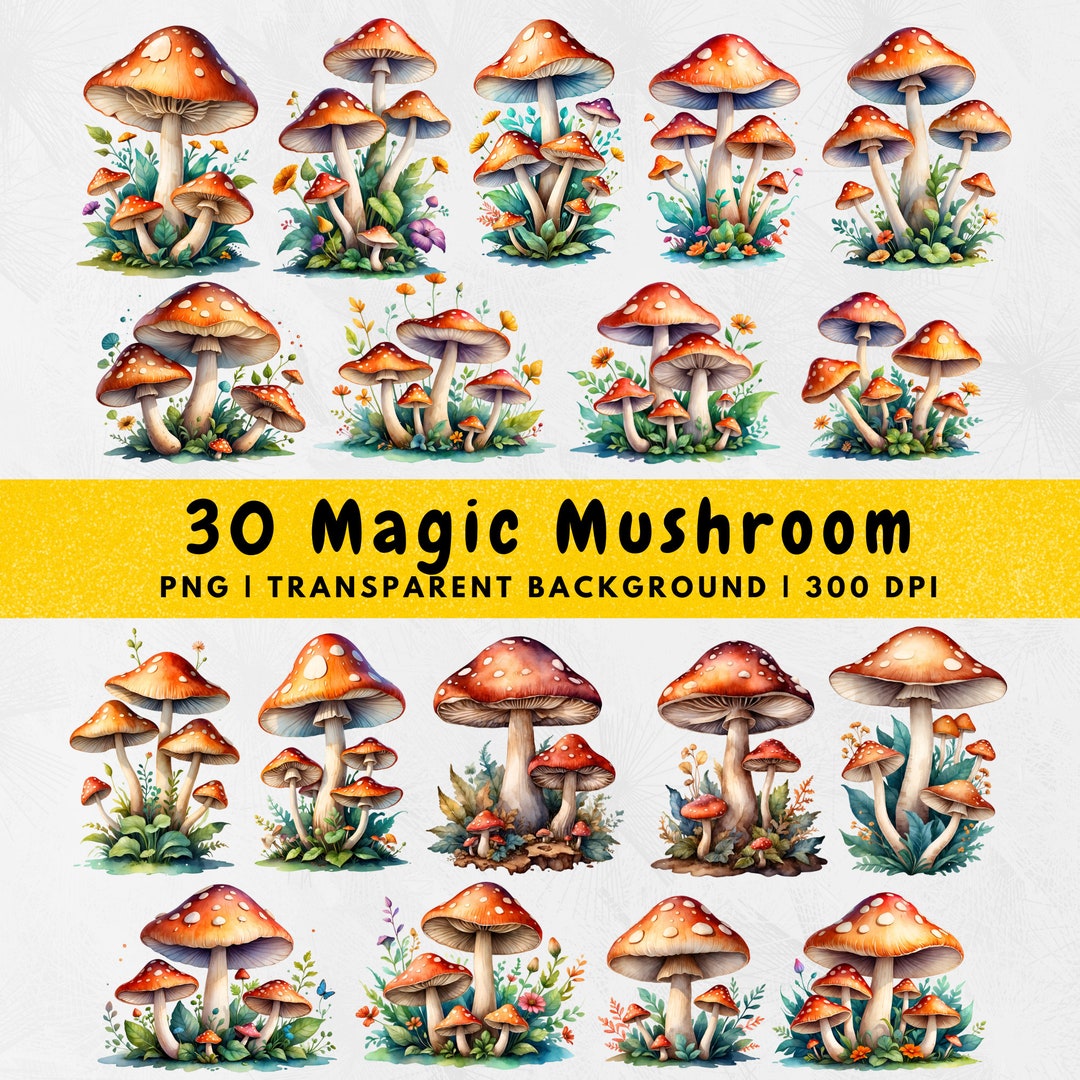30 Watercolor Mushrooms Clipart, Magic Forest Mushroom PNG, Cute Forest ...