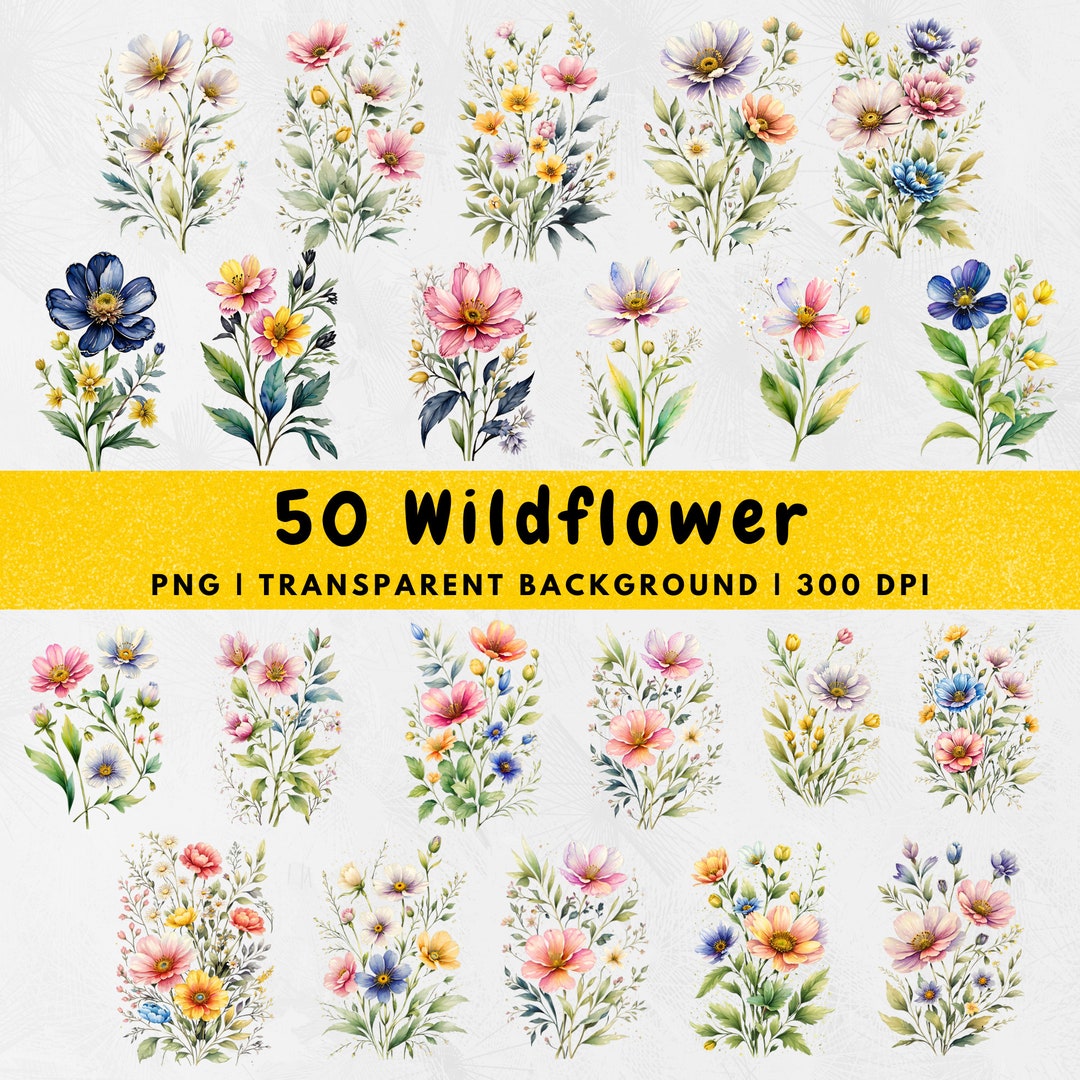 50 Watercolor Wildflower PNG, Meadow Flowers Png, Summer Fall Flowers ...