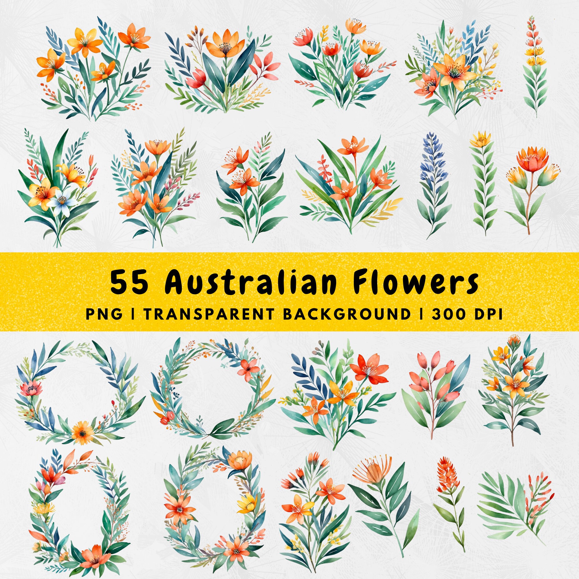 55 Watercolor Australian Flowers PNG Australian Floral - Etsy