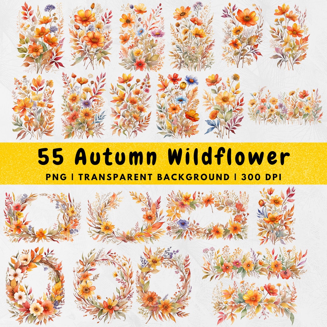 55 Watercolor Autumn Wildflowers PNG, Dried Wildflower Plants ...
