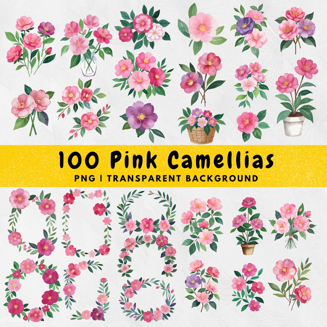 100 Watercolor Pink Camellias PNG, Floral Camellia, Flowers Clipart ...