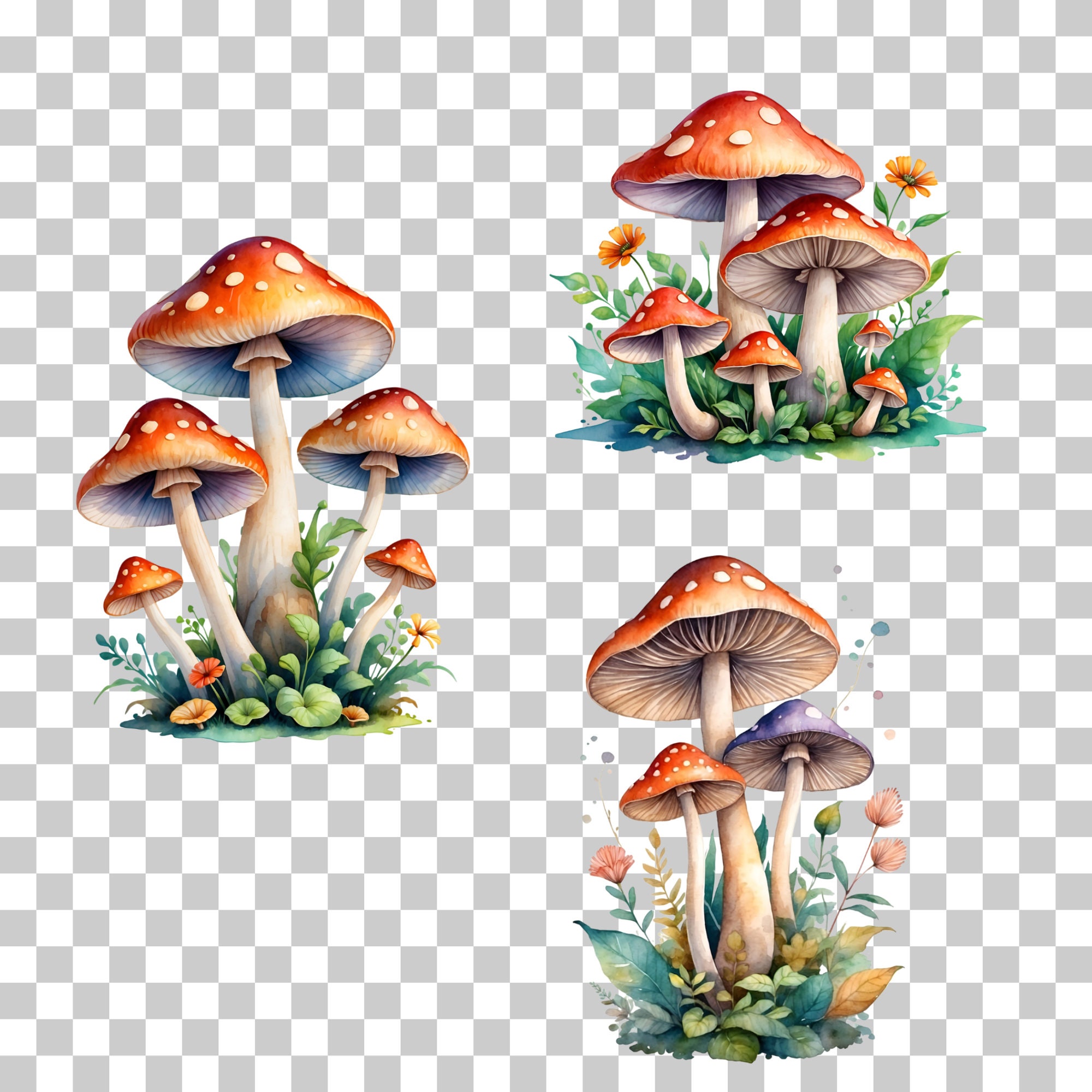 30 Watercolor Mushrooms Clipart, Magic Forest Mushroom PNG, Cute Forest ...