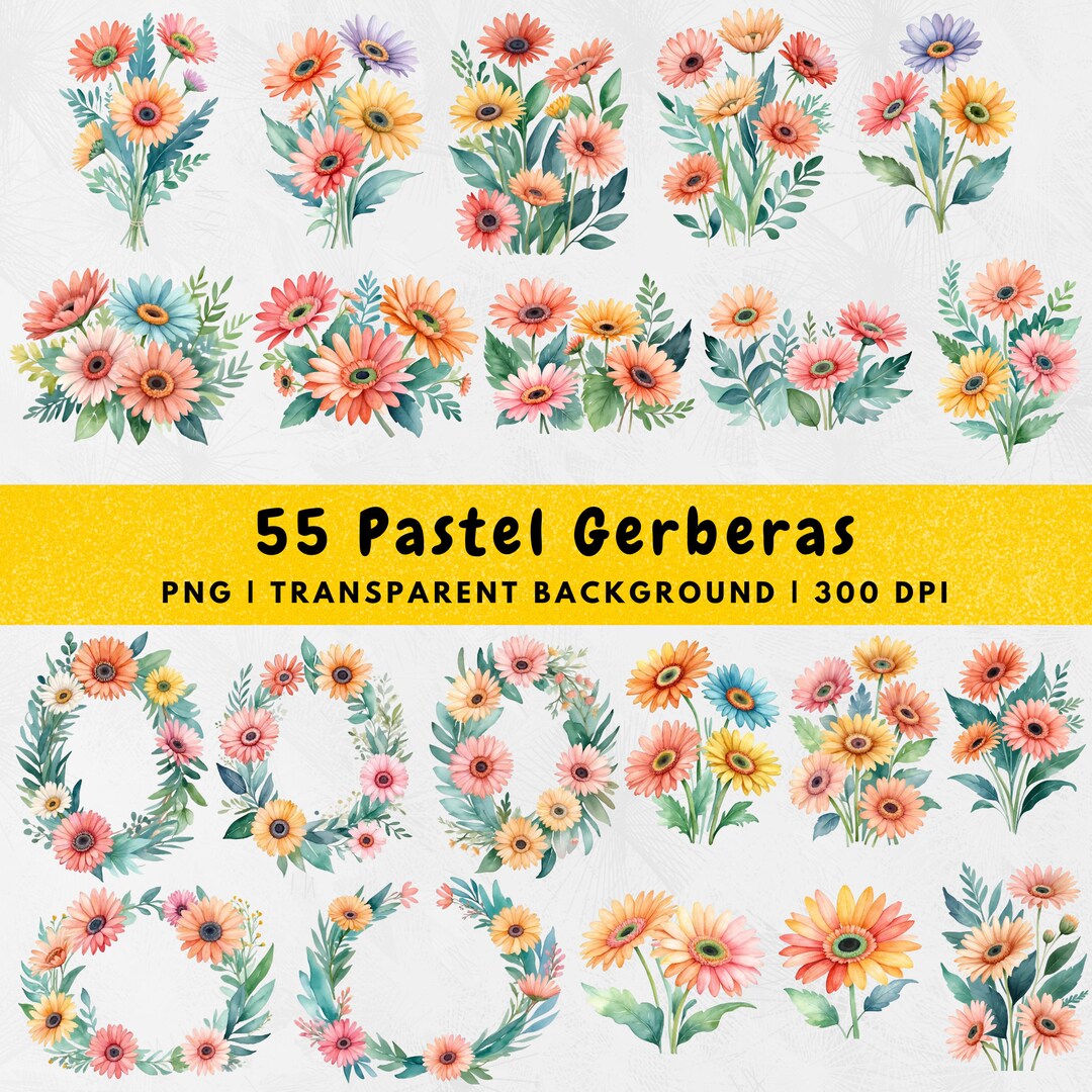 55 Watercolor Pastel Gerberas PNG, Gerberas Flower Clipart, Floral ...