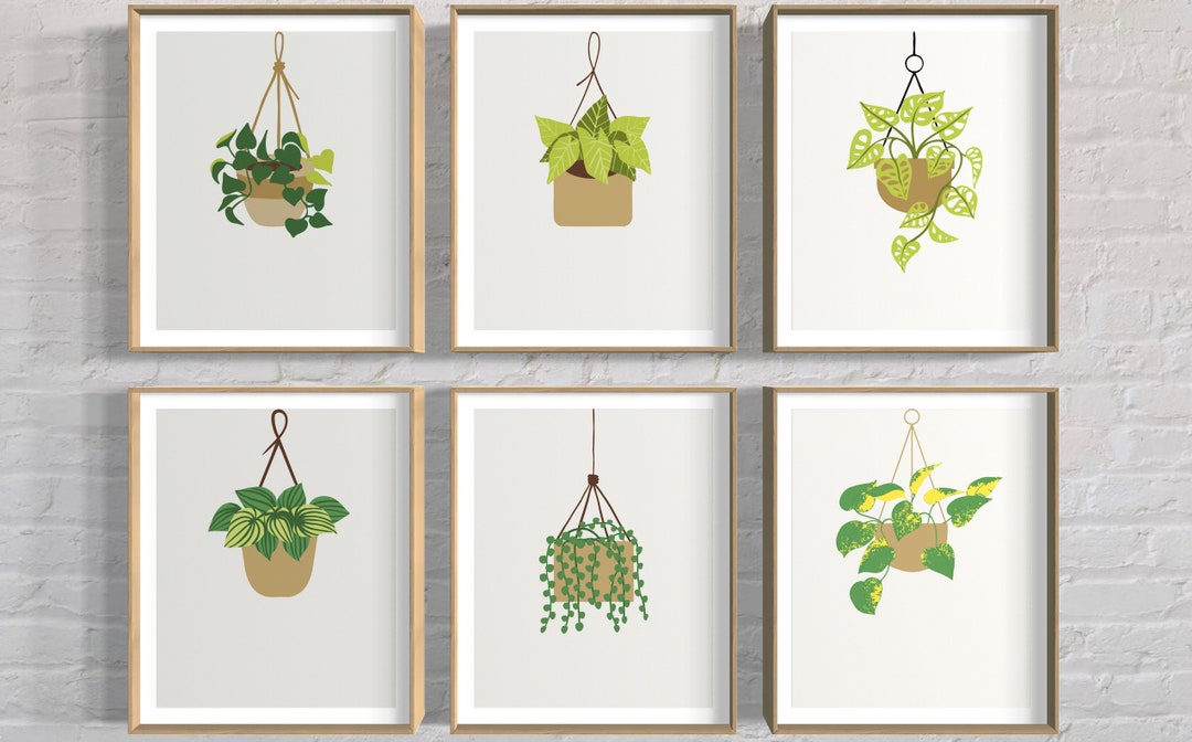 Hanging Plant Art Prints 6 Piece Set Art Prints Minimalist Wall Art - Etsy