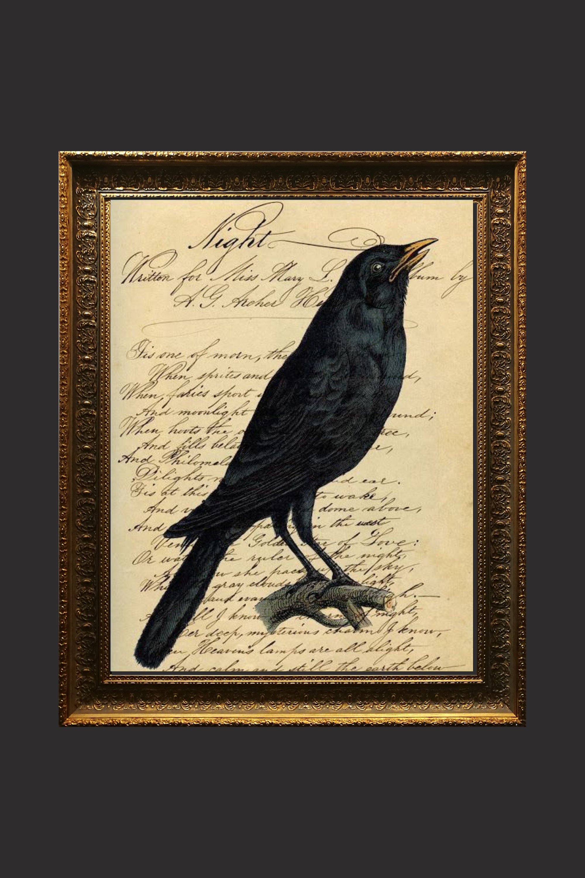 Vintage Crow Decorative Print - Etsy