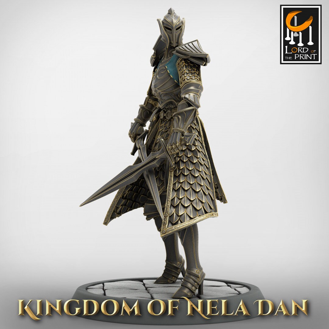 High Elf Double Dagger Squad Dnd Mini Dungeons and Dragons Elf ...