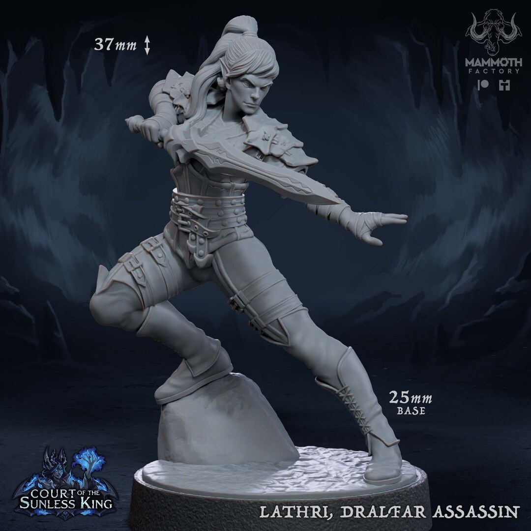 Lathri Dralfar Assassin Drow Miniature Dnd Mini Dungeons and Dragons ...