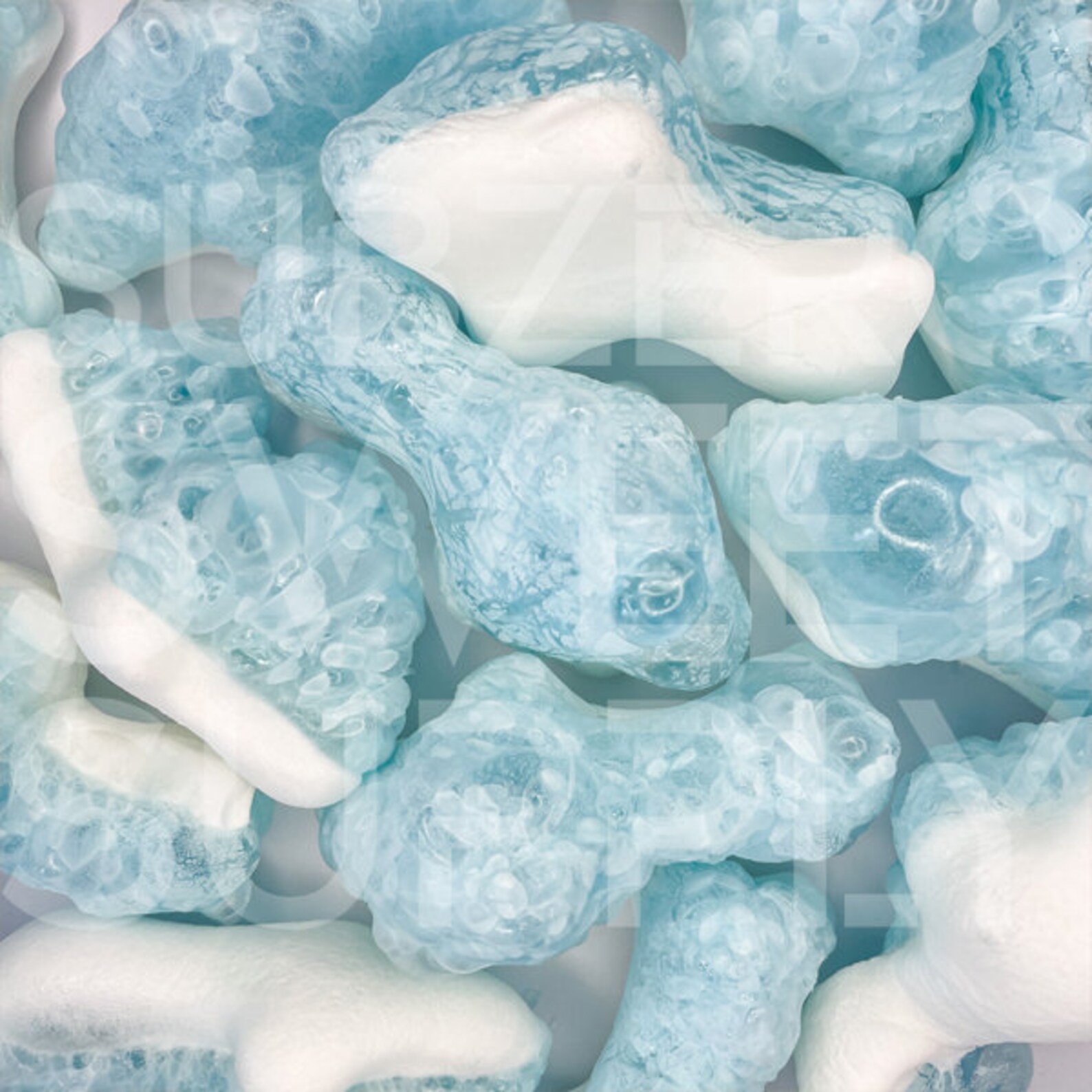 Freeze Dried Gummy Sharks Freeze Dried Candy Gummi Sharks - Etsy