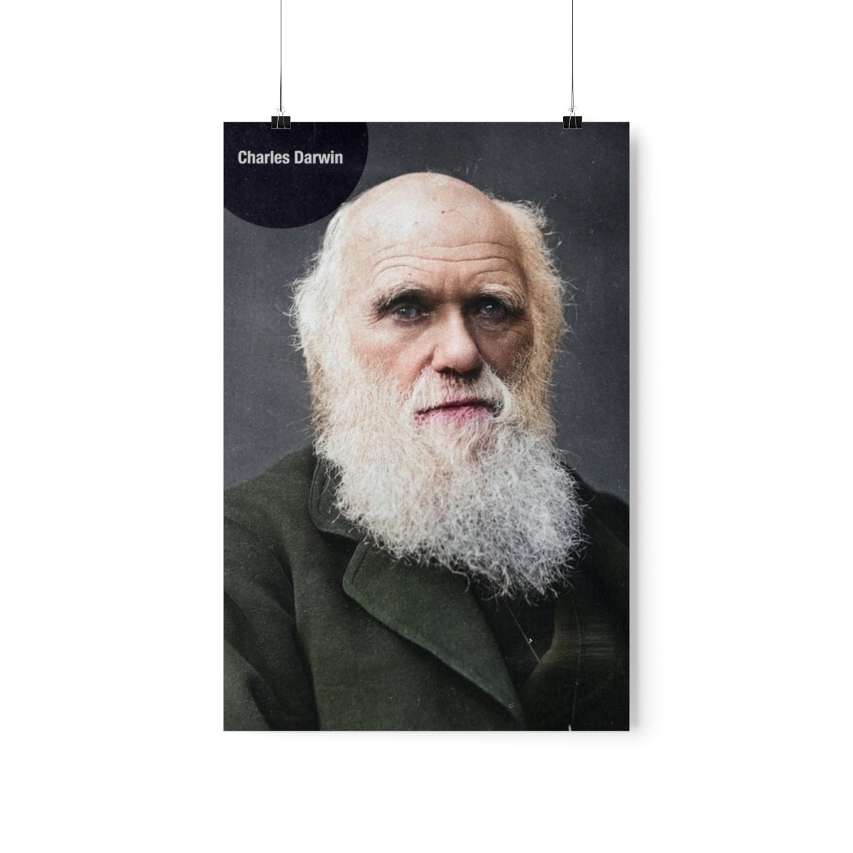 Charles Darwin Wall Art, Biology Poster, Survival of the Fittest ...