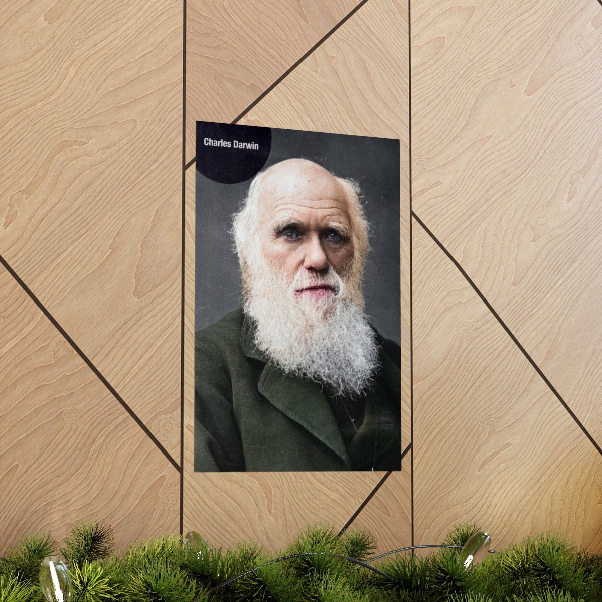 Charles Darwin Wall Art, Biology Poster, Survival of the Fittest ...