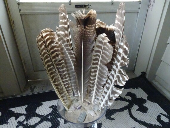 Reiki Infused Authentic Natural Turkey Feathers for Smudging - Etsy