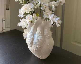 Anatomical Heart Vase - Etsy