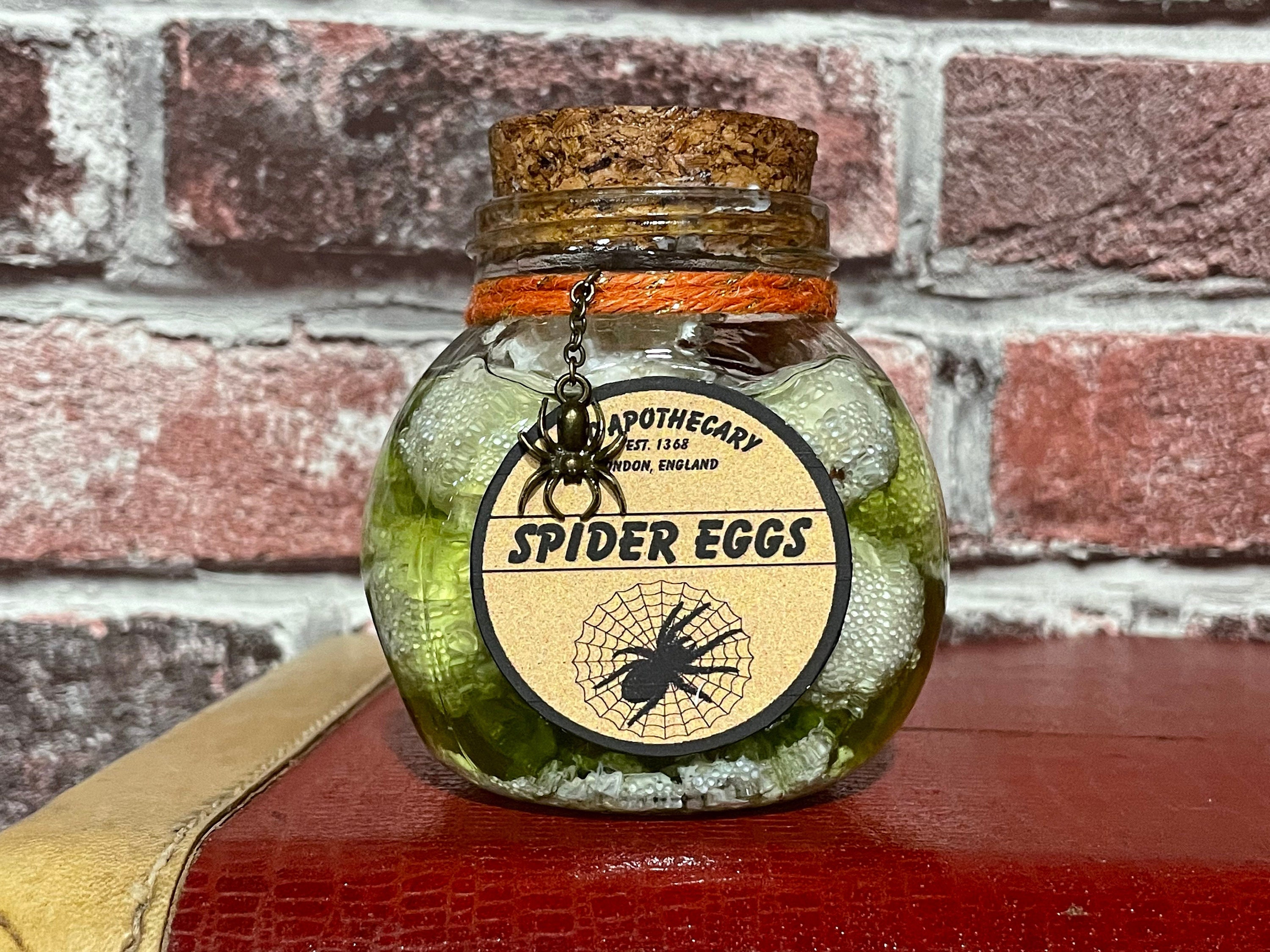 Spider Eggs Decorative Potion Bottle Halloween Decor, Great for All ...
