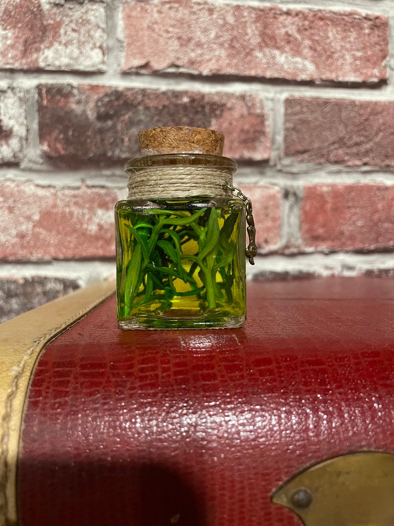 Gillyweed Decorative Potion Bottle MEDIUM Halloween Decor - Etsy