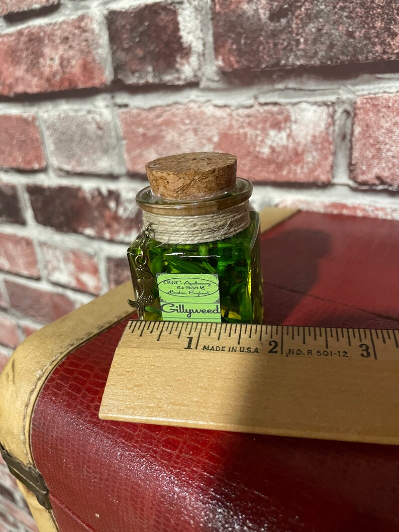 Gillyweed Decorative Potion Bottle MEDIUM Halloween Decor - Etsy
