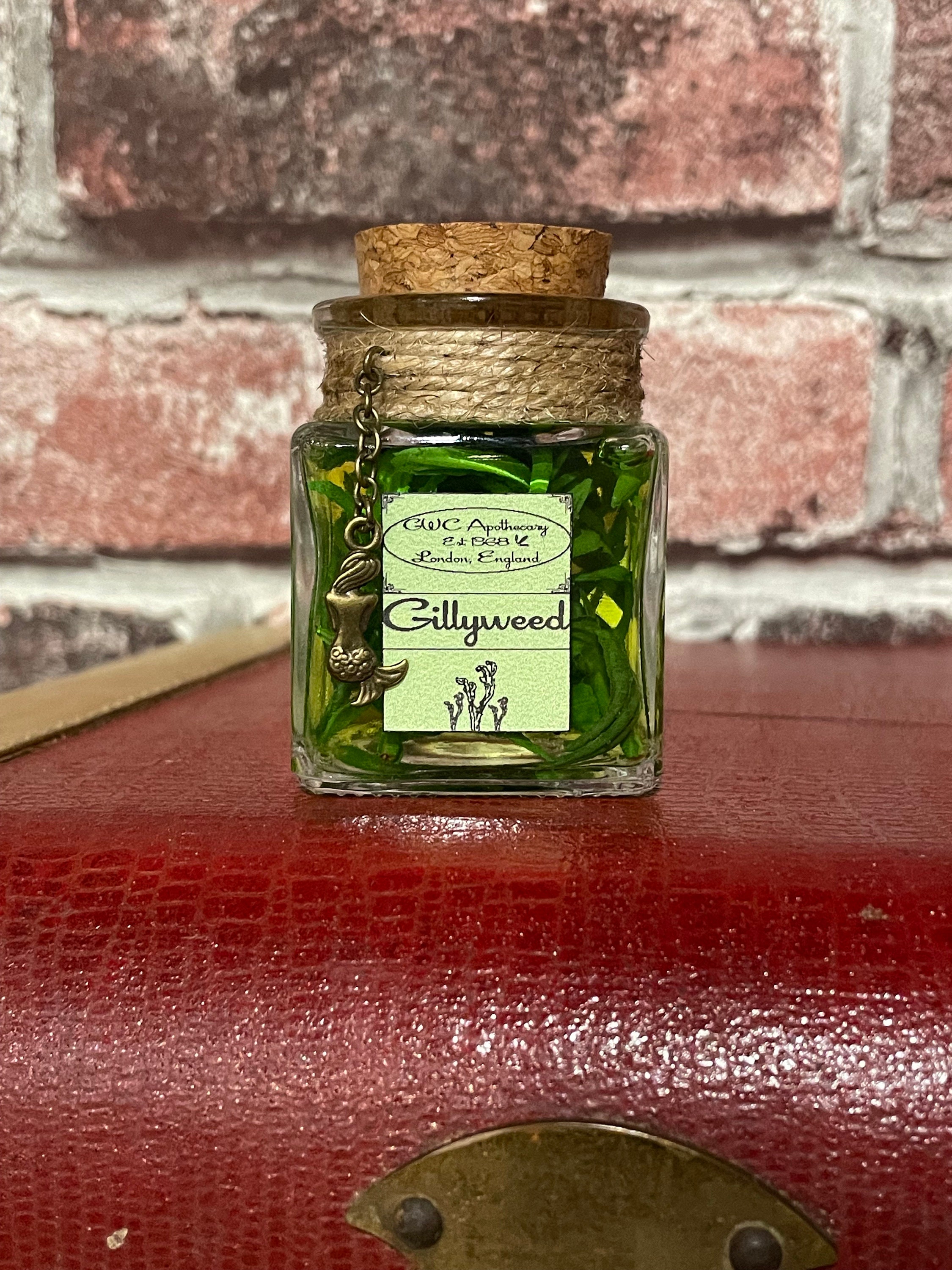 Gillyweed Decorative Potion Bottle MEDIUM Halloween Decor - Etsy