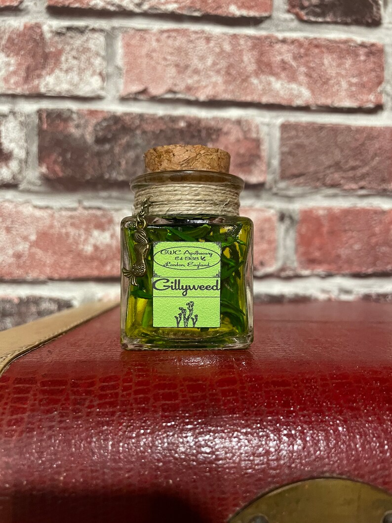 Gillyweed Decorative Potion Bottle MEDIUM Halloween Decor - Etsy