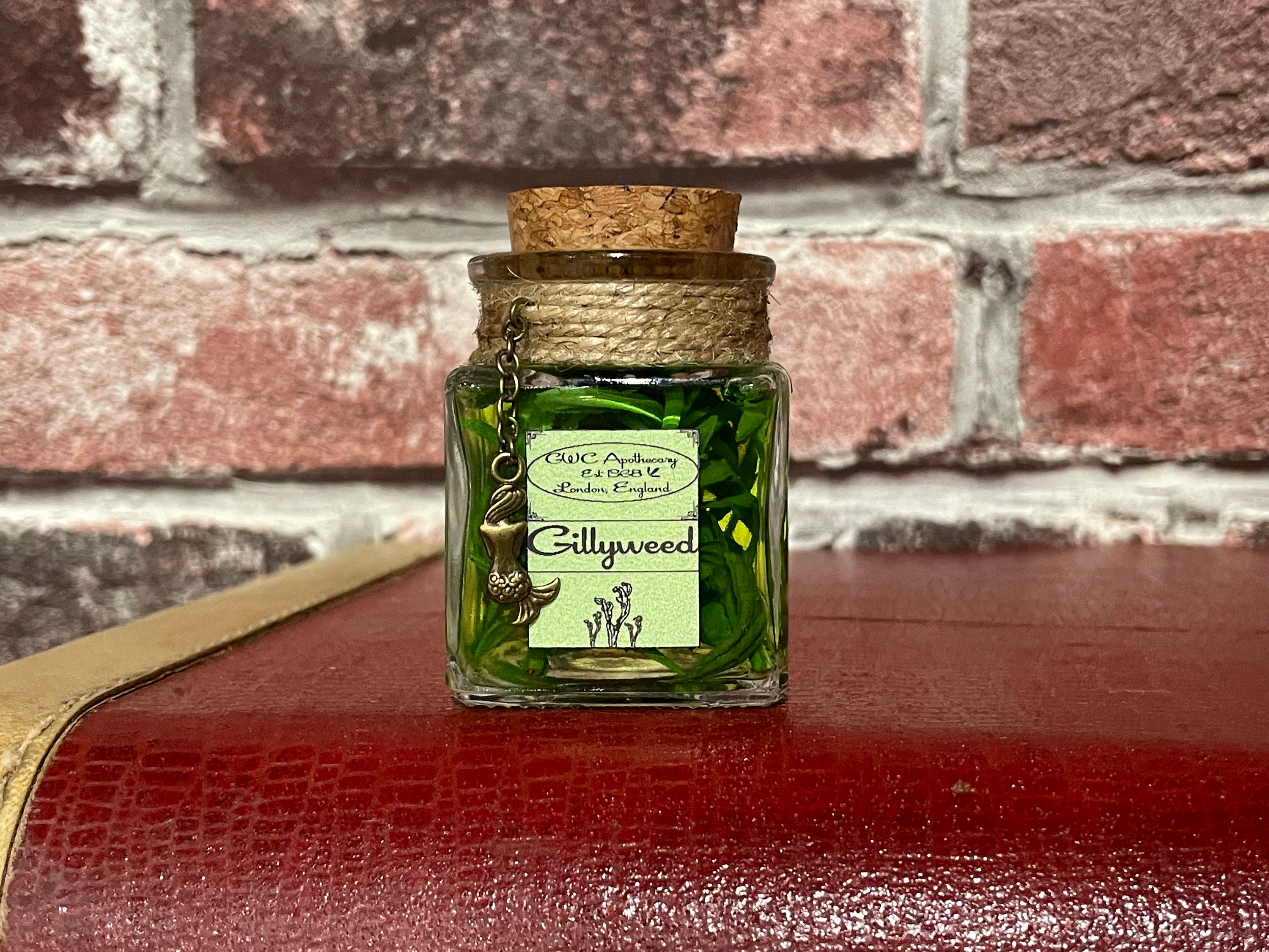 Gillyweed Decorative Potion Bottle MEDIUM Halloween Decor - Etsy