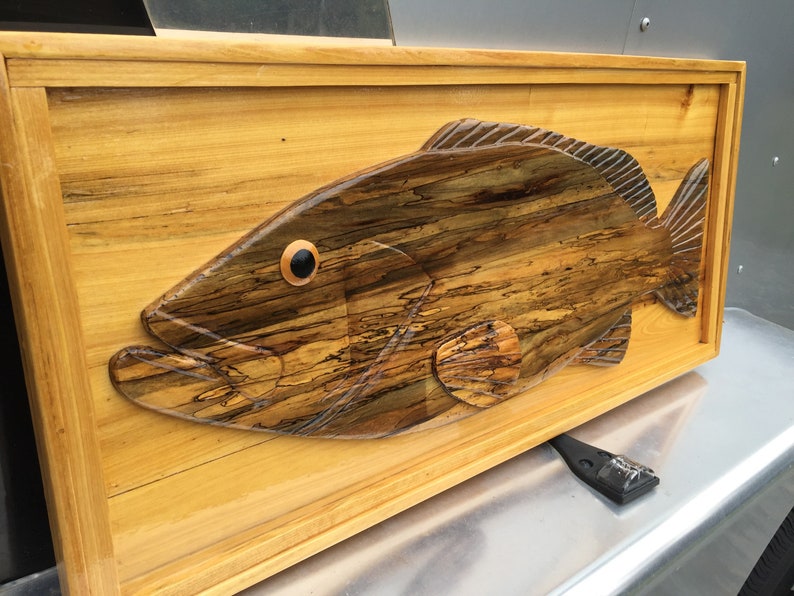 24x 9 Grouper Fish in Magnolia Wood on Cypress Wood Background and ...