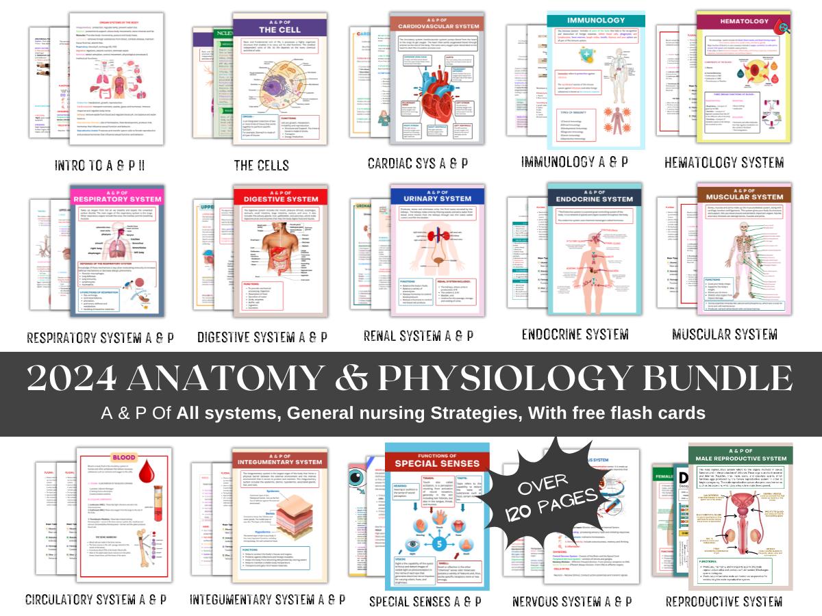 Nursing School Notes- the Complete Nursing School Bundle- Fundamentals ...