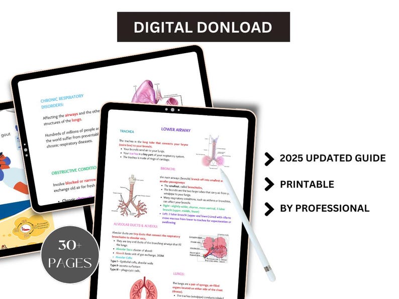 Respiratory System Guide – Nursing Notes, Pharmacology (digital ...