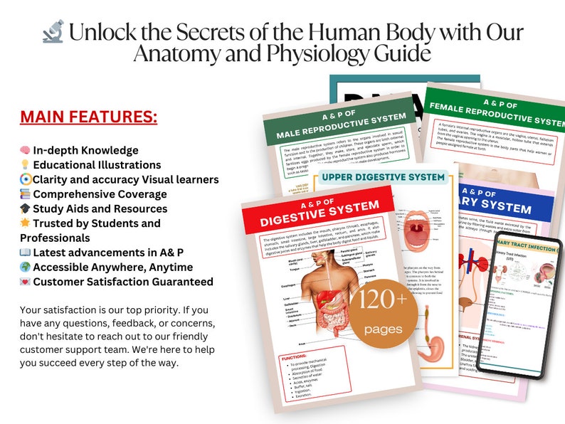 Anatomy & Physiology Bundle With Flashcards- Anatomy Study Guide ...