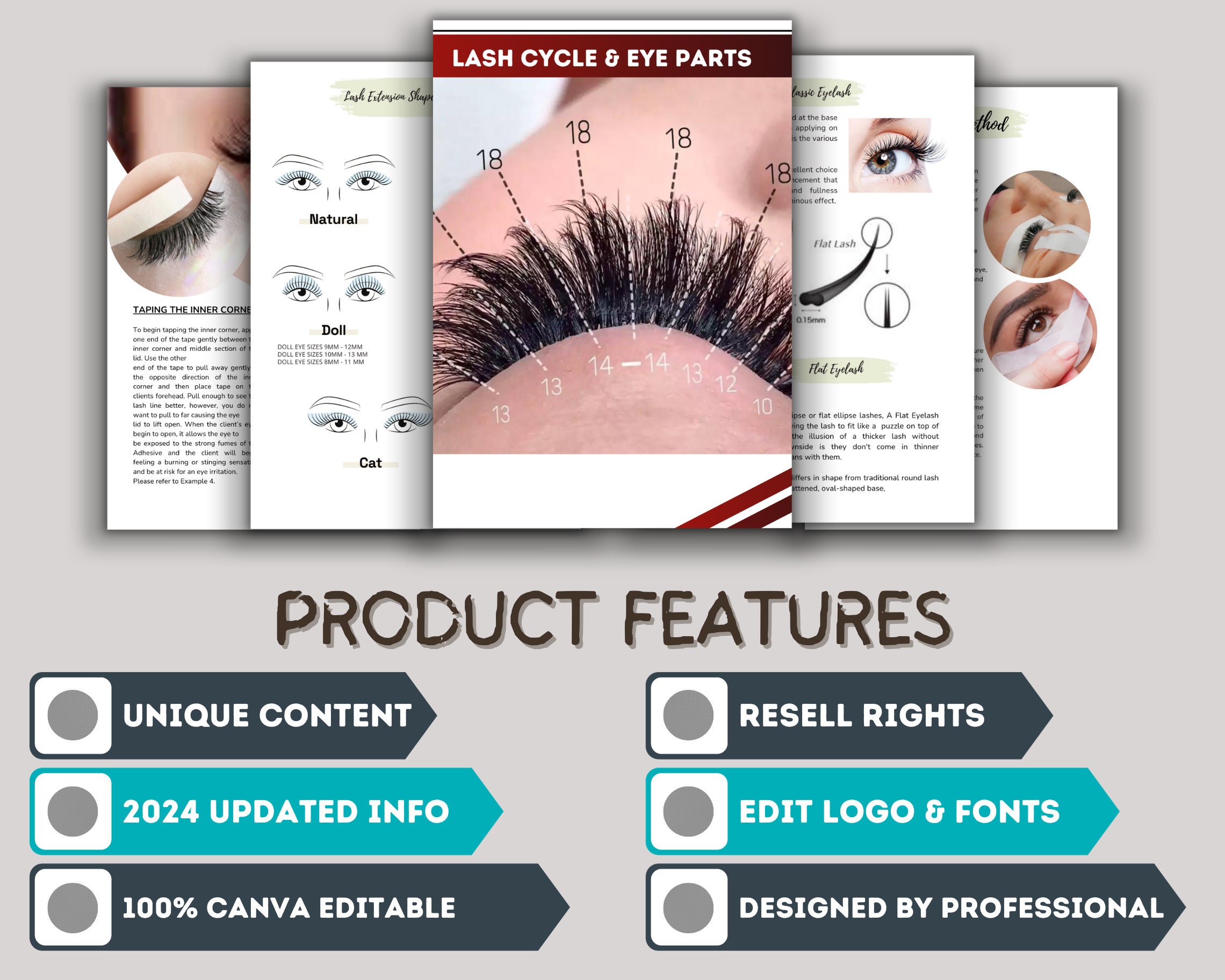 Lash Training Editable Guide Classic Hybrid Volume Training Eyelash ...