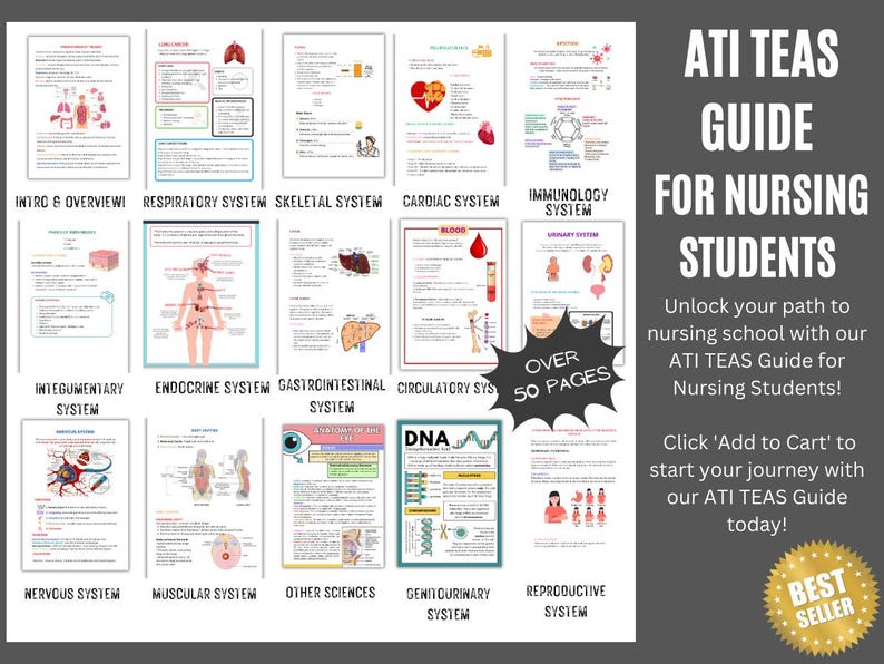 Nursing School Study Bundle | Ultimate Nursing Study Guide, Digital ...