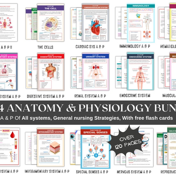 Guía de estudio de anatomía y fisiología con tarjetas didácticas - Etsy España